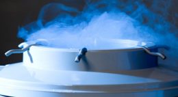 Food Packaging - How Does Nitrogen Keep Food Fresh? - Levapack