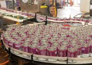 A Complete Guide to Solid Packaging Machines - Levapack