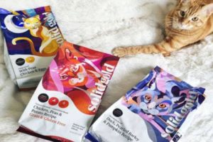 Pet Food Packaging: All You Need to Know - Levapack