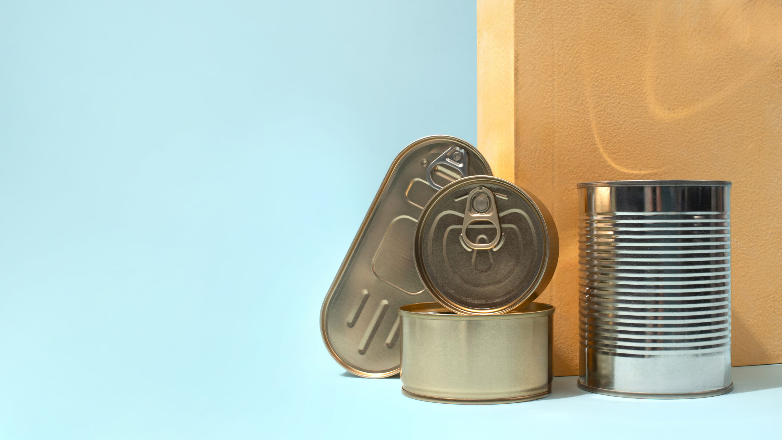 What Are Tin Cans Made Of? Key Insights for Packaging Lines